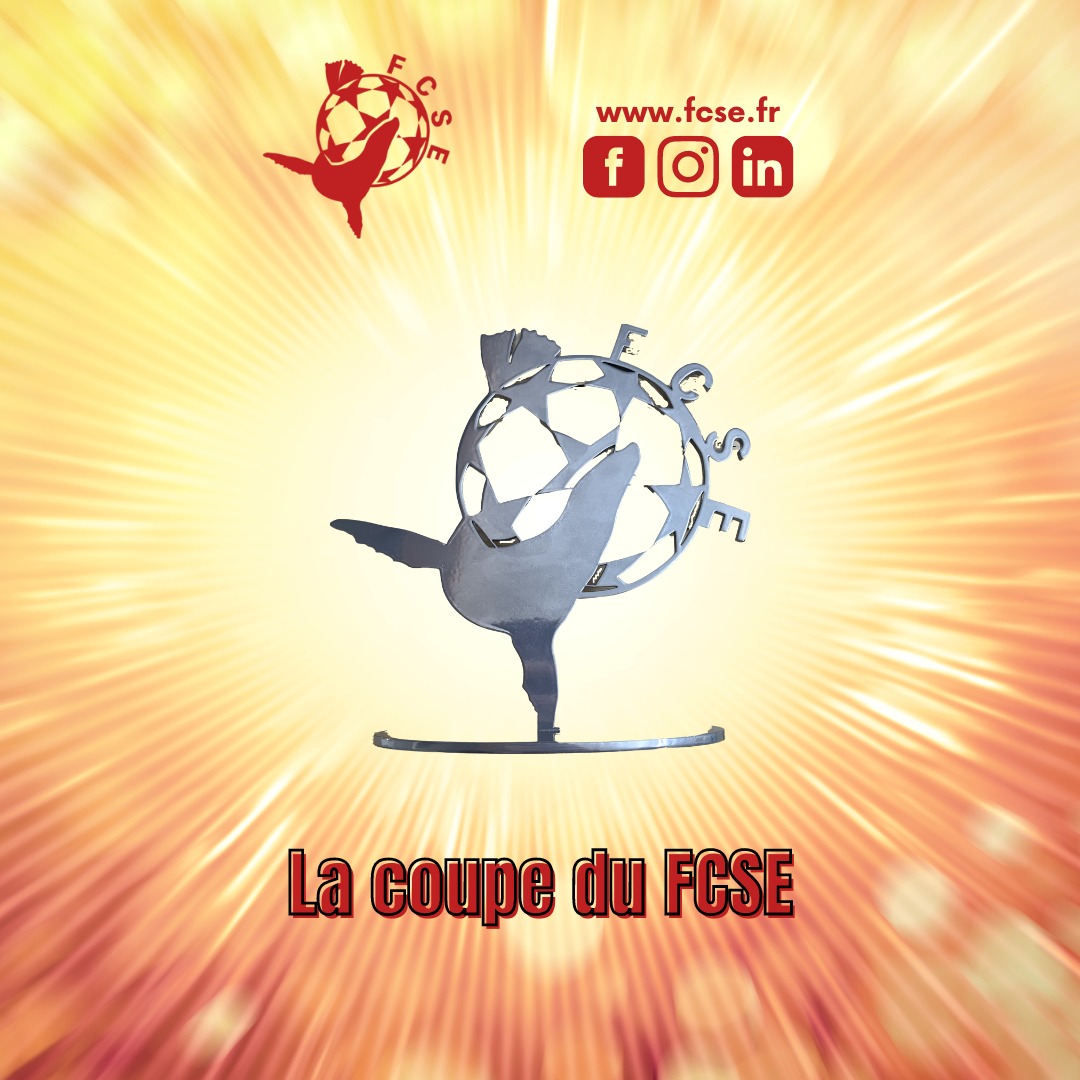 La coupe FCSE - FC Saint-Étienne